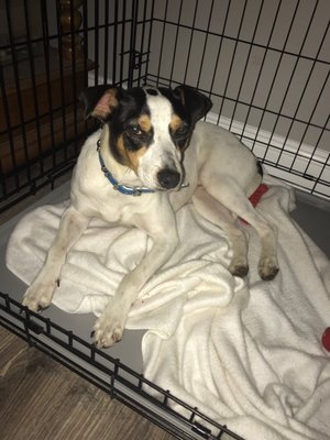 DELAWARE SPCA - 18 Photos & 12 Reviews - 455 Stanton Christiana Rd ...