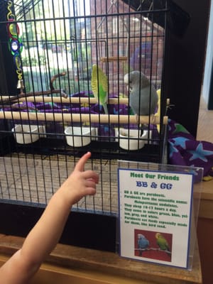 HOMEWOOD PUBLIC LIBRARY - Updated September 2025 - 23 Photos & 10 ...