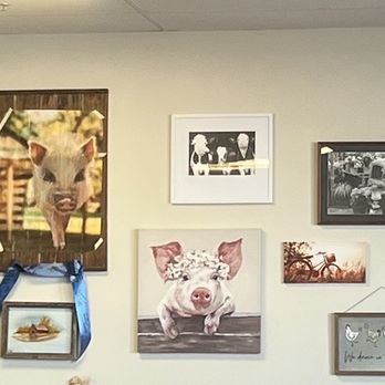 910 COFFEE - Updated December 2025 - 43 Photos & 24 Reviews - 1124 ...