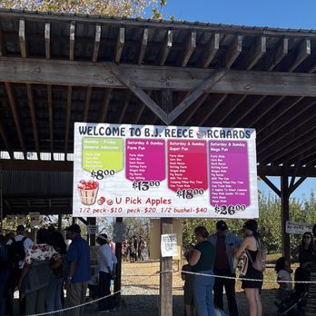 BJ REECE ORCHARDS - Updated September 2025 - 462 Photos & 197 Reviews ...