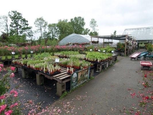 Hewitt S Garden Centers Glenmont Updated August 2024 10 Photos