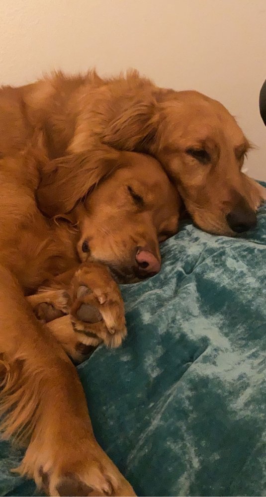 LESTER PRAIRIE VETERINARY CLINIC - Updated November 2025 - 18743 ...