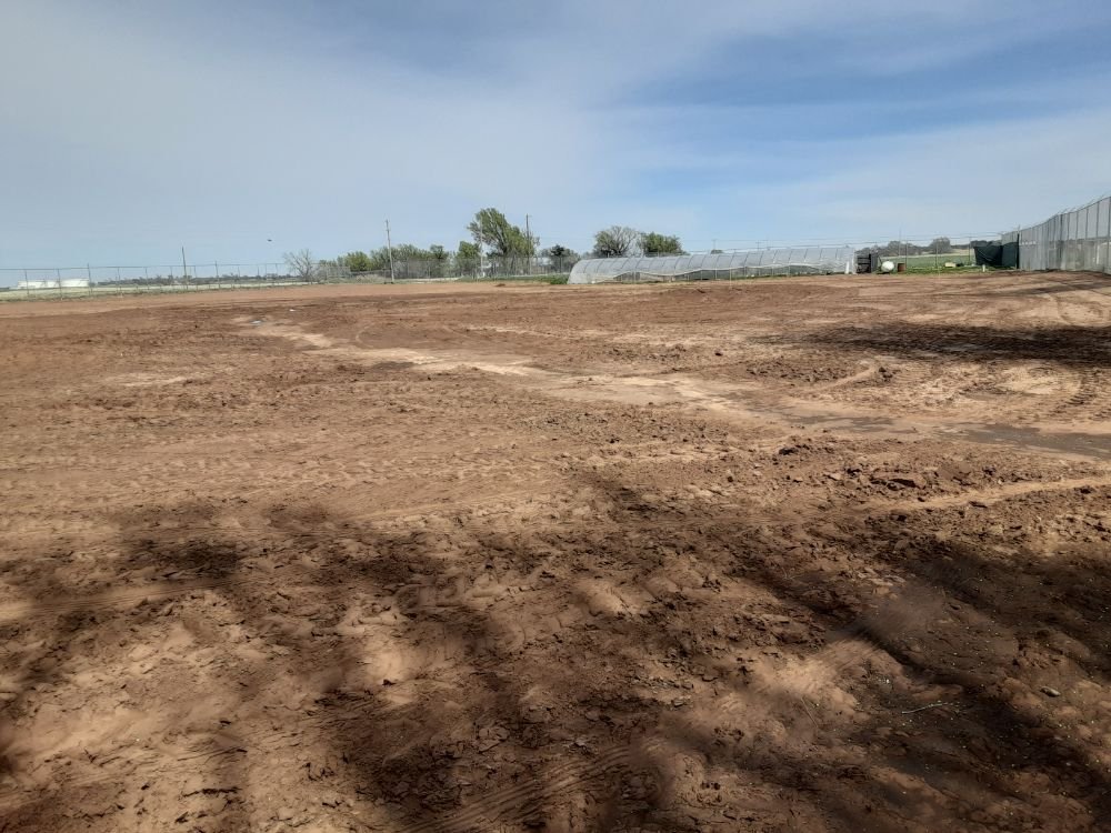 GANJA TREE FARMS - Updated April 2024 - 12 Photos - 820 7th St, Cleo ...