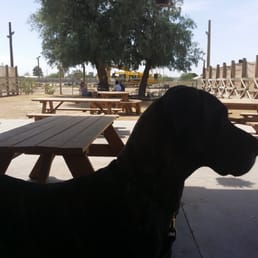 GALLOPIN’ GOOSE - Updated July 2025 - 13 Photos & 48 Reviews - 1980 S ...