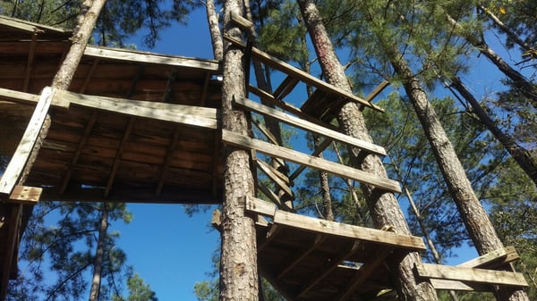 FAULKEY GULLY HIKE AND BIKE TRAIL - Updated September 2025 - 32 Photos ...