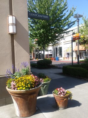 STREETS OF TANASBOURNE - Updated July 2025 - 60 Photos & 44 Reviews ...