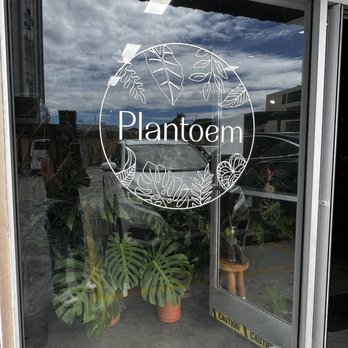PLANTOEM - 426 Photos & 90 Reviews - 3457 Waialae Ave, Honolulu, Hawaii ...