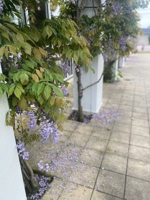 IN-SHAPE FITNESS - Updated October 2025 - 33 Photos & 293 Reviews ...