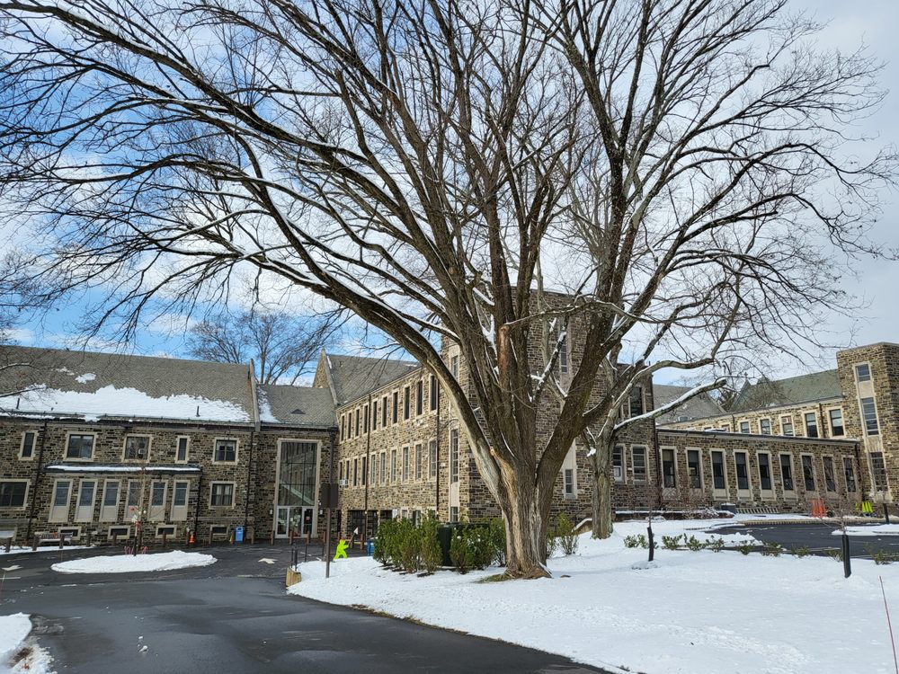 FRENCH AMERICAN SCHOOL OF PRINCETON - Updated December 2025 - 75 ...