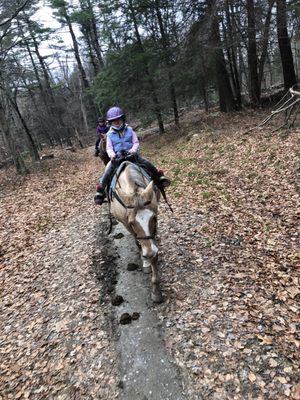 LEE’S RIDING STABLE - Updated October 2025 - 15 Photos & 20 Reviews ...