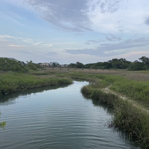 FOLLY FIELD BEACH PARK - Updated May 2024 - 83 Photos & 25 Reviews - 55 ...