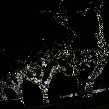 RIVER OAKS CHRISTMAS LIGHTS - Updated December 2024 - 123 Photos & 14 ...