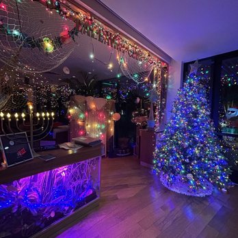 FLAMINGO LAZEAWAY CLUB - Updated June 2024 - 251 Photos & 115 Reviews ...