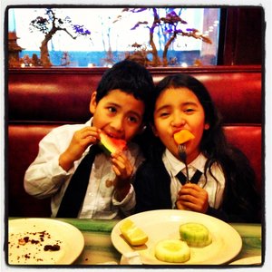 CHICAGO HEIGHTS PUBLIC LIBRARY - Updated August 2025 - 25 W 15th St ...