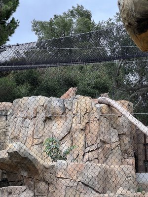 OC ZOO IRVINE REGIONAL PARK - Updated May 2024 - 13 Photos - 1 Irvine ...