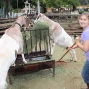 RAWHIDE RANCH - 53 Photos & 24 Reviews - Horseback Riding - 6987 W ...