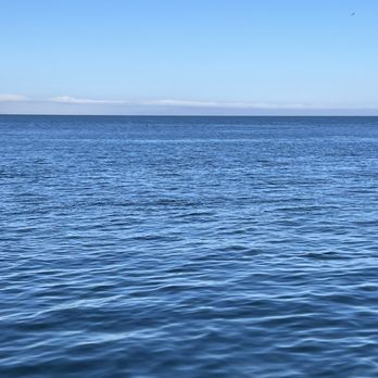 PUGET SOUND EXPRESS - Updated May 2025 - 184 Photos & 81 Reviews - 459 ...