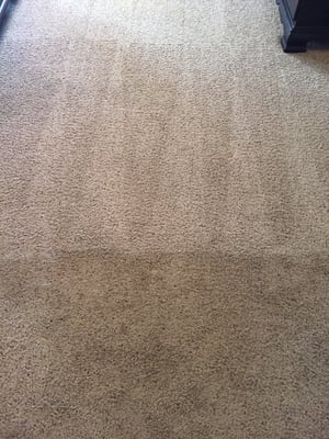 EXTREME CARPET CLEAN - Updated May 2026 - 35 Photos & 19 Reviews ...