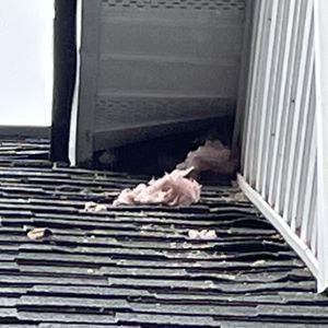 PERMATREAT PEST & TERMITE CONTROL - Updated August 2024 - 23 Reviews ...