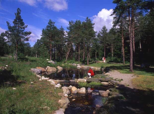 ROGALAND ARBORET - Updated March 2024 - Espeland, Sandnes, Norway ...