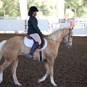 FORT SAM HOUSTON EQUESTRIAN CENTER - Updated November 2025 - 14 Photos ...