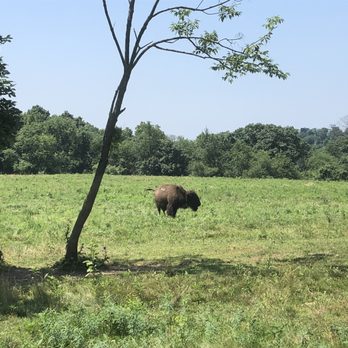 TREXLER NATURE PRESERVE - Updated December 2025 - 68 Photos & 29 ...