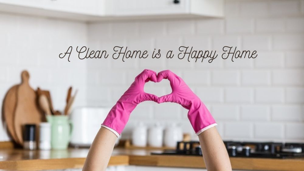 NUMBER ONE CLEANING SERVICES - Updated March 2026 - 26 Photos - NEW PRT ...