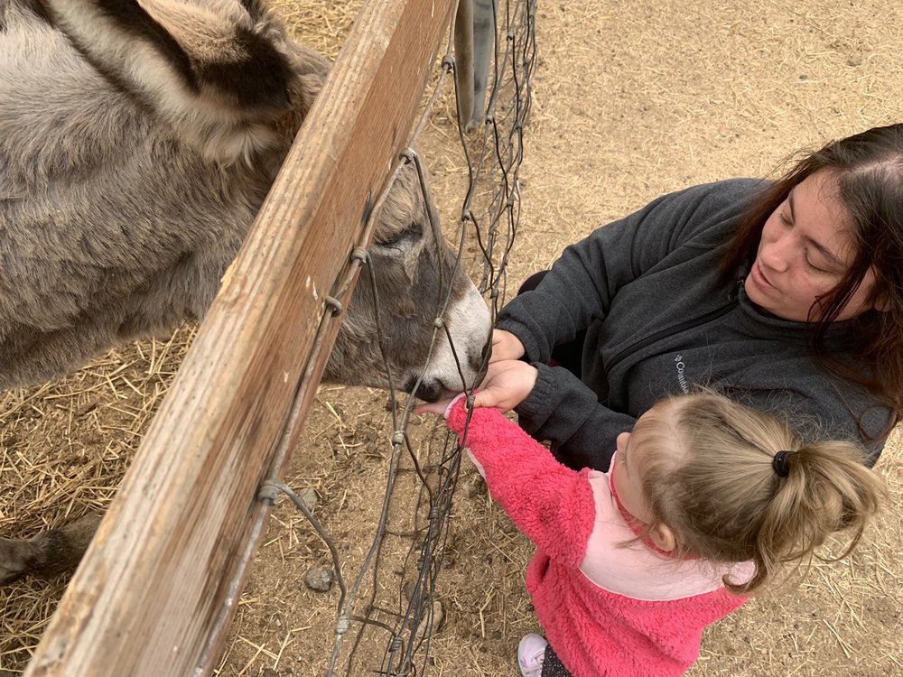 PEZZA FARM AND GARDEN CENTER - 55 Photos & 15 Reviews - 2279 Plainfield ...