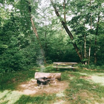 NERSTRAND BIG WOODS STATE PARK - Updated January 2026 - 68 Photos & 19 ...