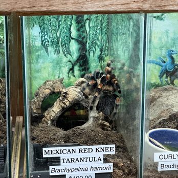 EAST BAY VIVARIUM - Updated January 2026 - 726 Photos & 619 Real ...