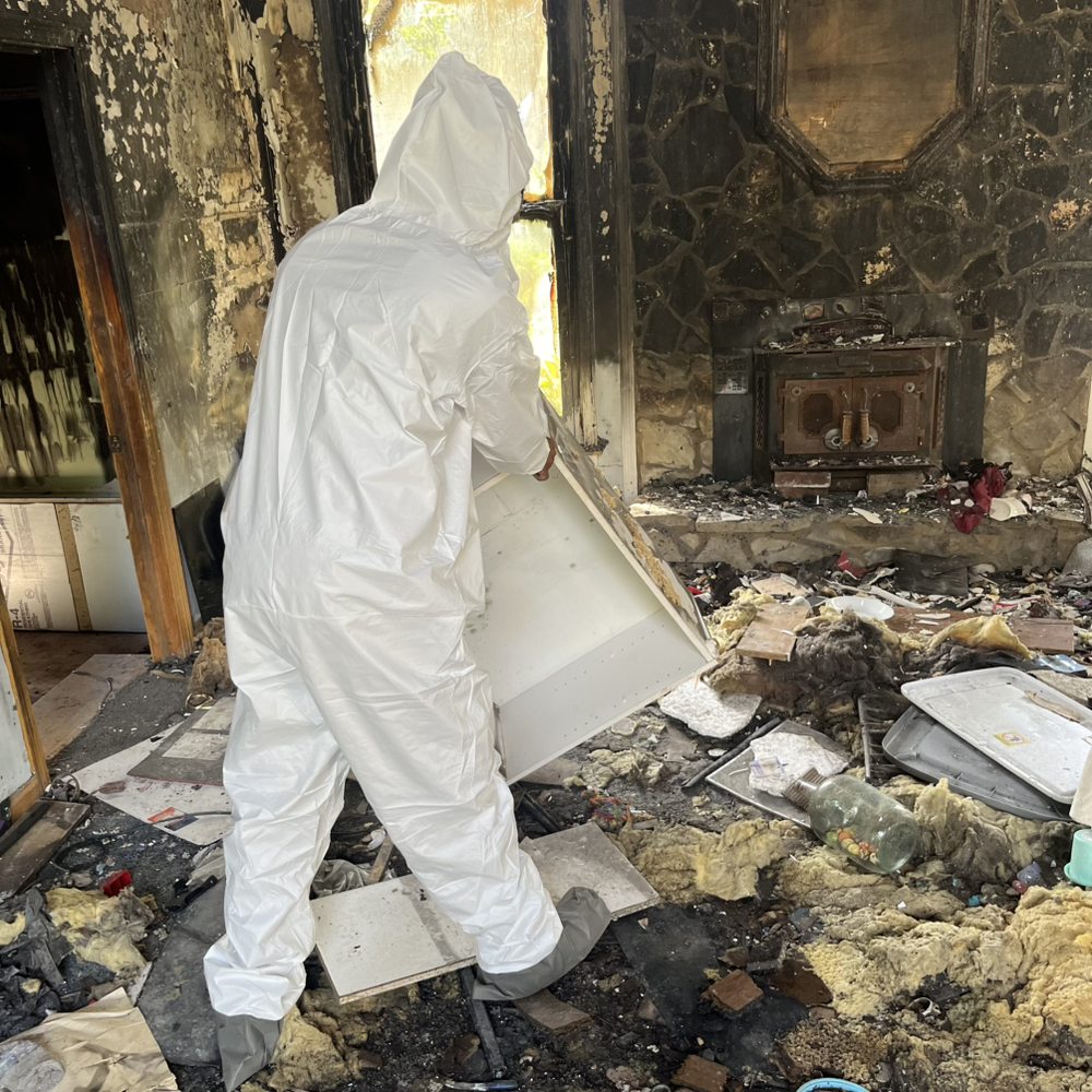 COIT CLEANING AND RESTORATION - Updated December 2025 - 43 Photos & 35 ...