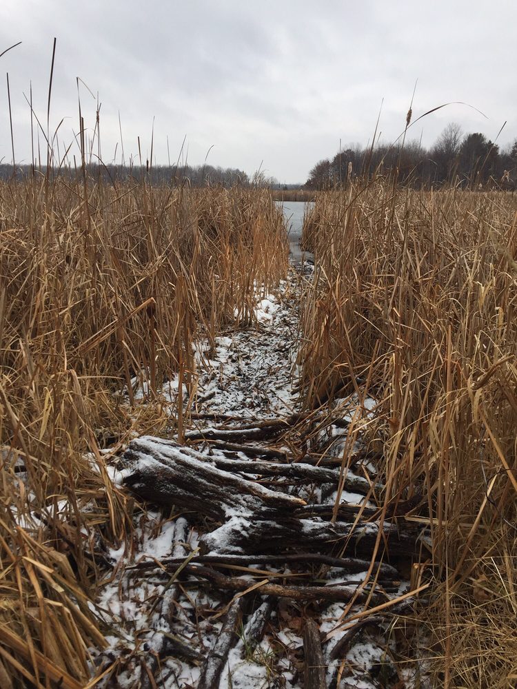 LAKE NETTA NATURE TRAIL - Updated April 2024 - 2800 165th St, Ham Lake ...