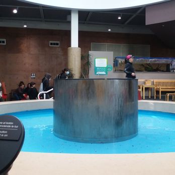 EXPLORA SCIENCE CENTER & CHILDRENS MUSEUM - Updated November 2024 - 252 ...