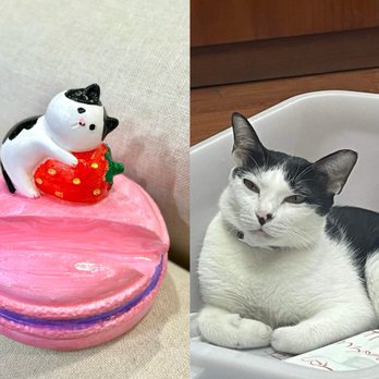 INCHA DUCK INK - Updated July 2025 - 67 Photos & 18 Reviews - 3500 ...