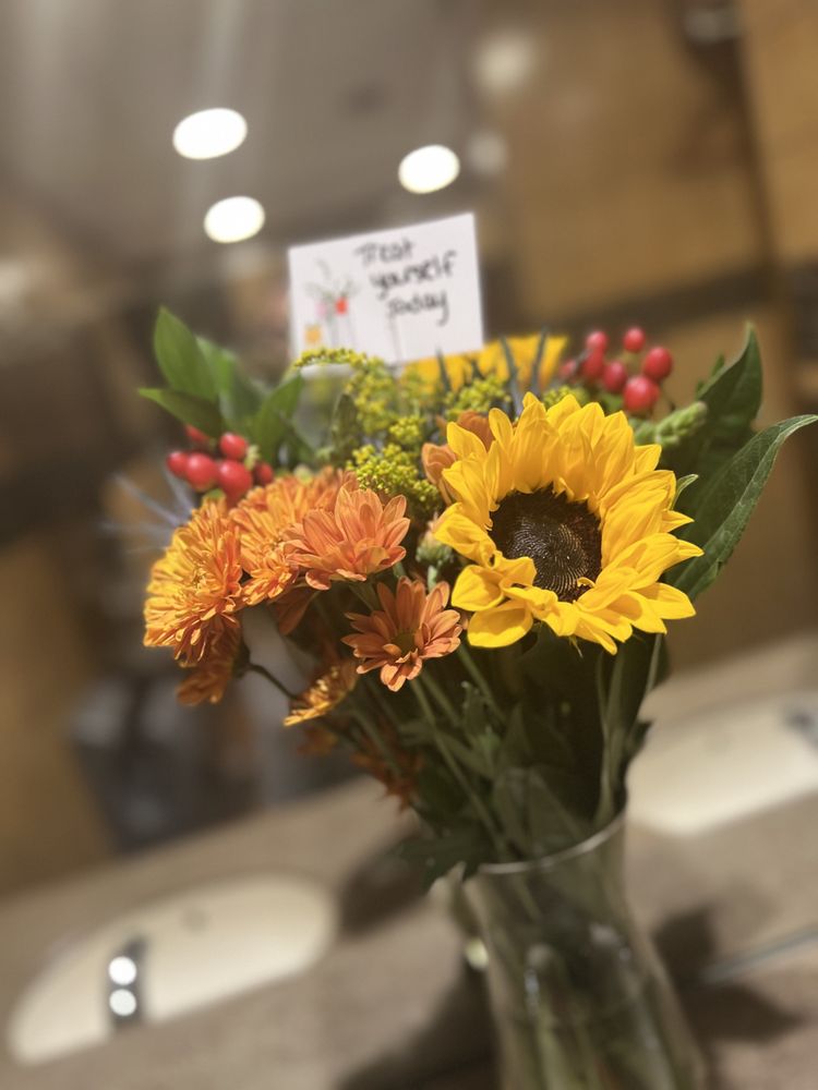 WEGMANS - Updated January 2026 - 236 Photos & 224 Reviews - 601 Amherst ...