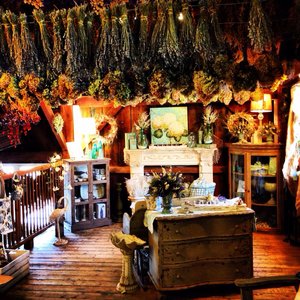 MARINI FARM - Updated July 2025 - 67 Photos & 47 Reviews - 259 ...