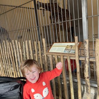 LOUISVILLE ZOO - 1720 Photos & 213 Reviews - 1100 Trevilian Way ...