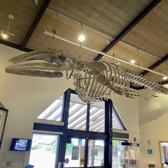 POINT VICENTE INTERPRETIVE CENTER - Updated July 2025 - 1037 Photos & 213 Reviews - 31501 Palos ...