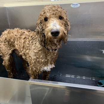 REBER RANCH - Updated October 2025 - 134 Photos & 225 Reviews - 28606 ...