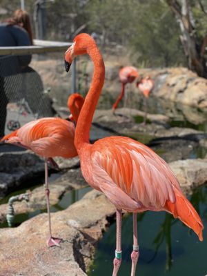 STONE ZOO - Updated February 2025 - 226 Photos & 201 Reviews - 149 Pond ...