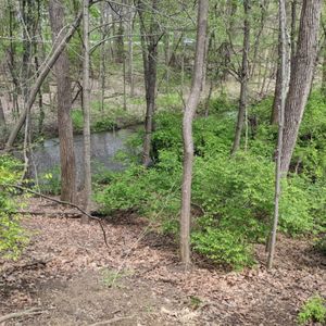 PERRY PARK ICE RINK - Updated October 2025 - 36 Photos & 16 Reviews ...