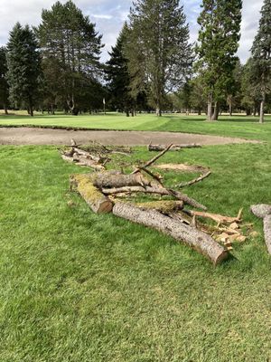 LEWIS RIVER GOLF COURSE - Updated May 2025 - 11 Photos & 45 Reviews ...