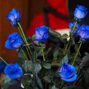 HUNTS POINT FLOWER MARKET - 36 Photos & 24 Reviews - 1152 Randall Ave ...