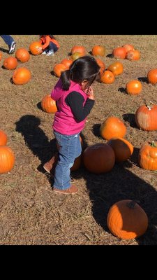 HILL RIDGE FARMS - 157 Photos & 49 Reviews - Farms - 703 Tarboro Rd ...