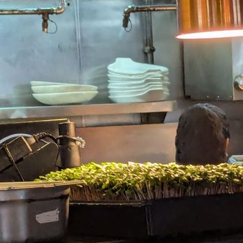 NEON CACTUS - Updated July 2025 - 308 Photos & 245 Reviews - 241 E ...