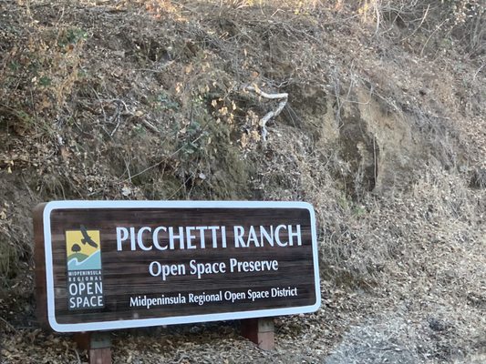 PICCHETTI RANCH OPEN SPACE PRESERVE - Updated October 2024 - 247 Photos ...