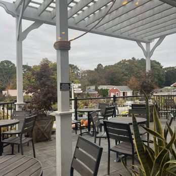 BRIGGS NURSERY - Updated December 2025 - 143 Photos & 76 Reviews - 295 ...