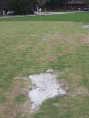 TEMPLE TERRACE GOLF & COUNTRY CLUB - Updated May 2024 - 26 Photos & 15 ...