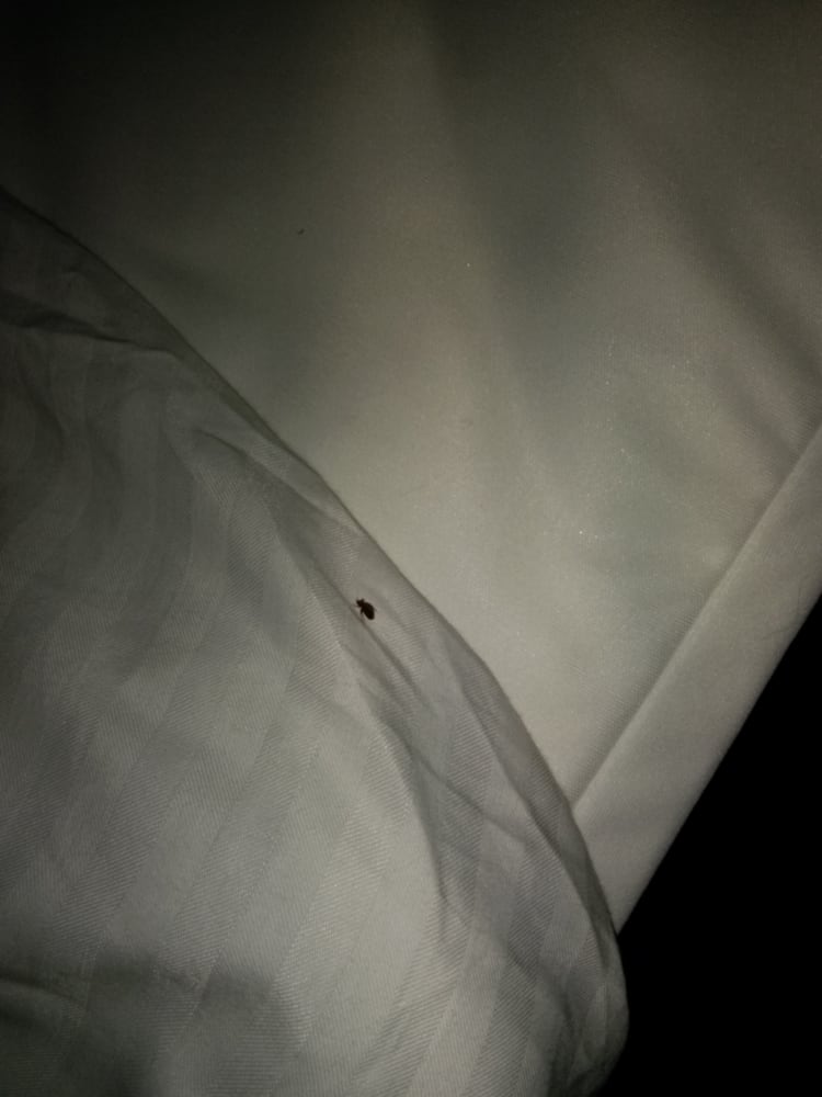 EL REY INN - Updated July 2025 - 11 Reviews - 16119 S Western Ave ...