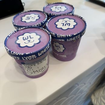WHITE LYON HANDCRAFTED ICE CREAM & COOKIES - Updated July 2025 - 204 ...